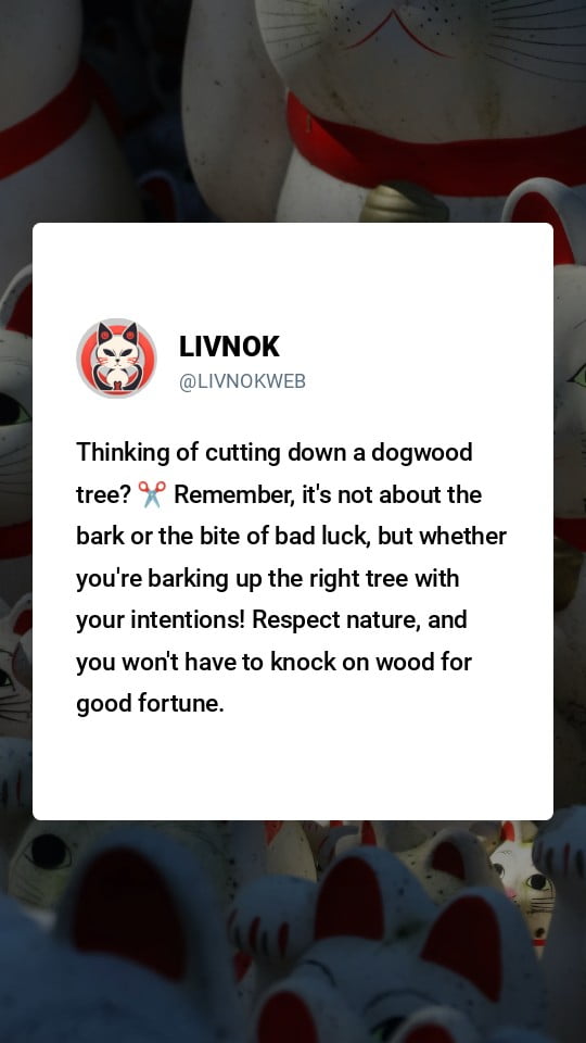 Is Cutting Down Dogwood Trees Bad Luck? Find Out Why