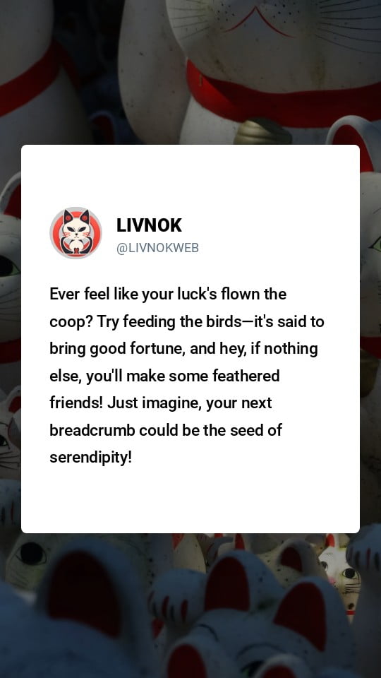 Discover if Feeding Birds Brings Good Luck