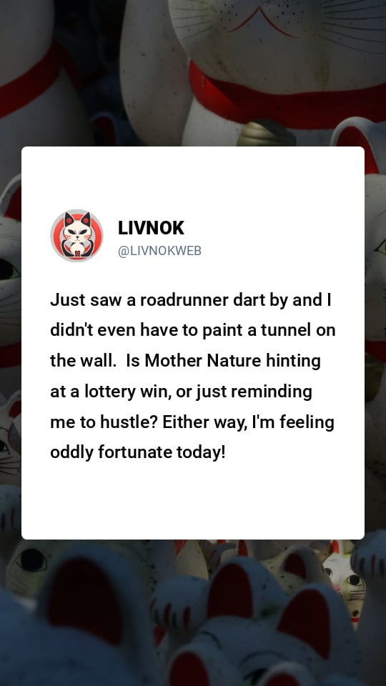 Discover if Seeing a Roadrunner Means Good Luck