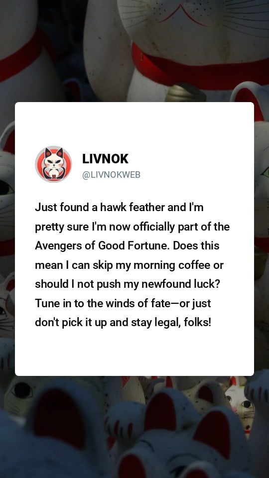 Discover If Finding a Hawk Feather Means Good Luck